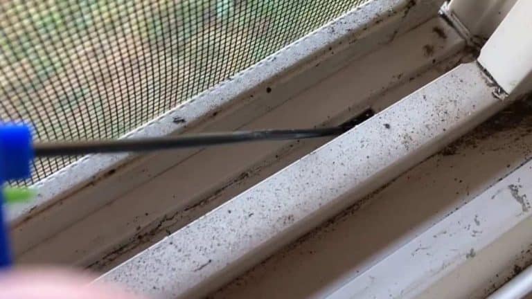 Unlocking the Secrets to Clean Weep Holes in Windows - House Cleanify