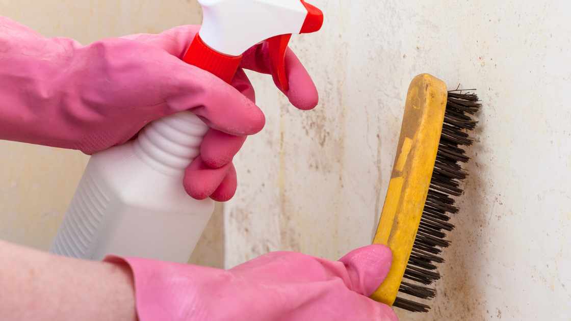 Effortlessly Remove Grease from Walls: Expert Tips - House Cleanify
