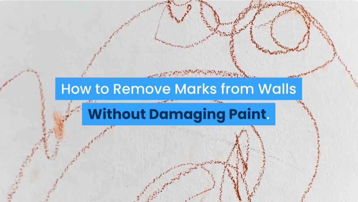 Mighty Results: How to Clean Walls with Matte Paint - House Cleanify
