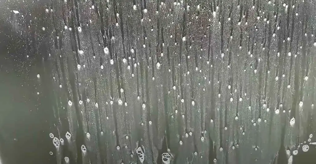 How to Clean Frosted Glass Internal Doors? Ultimate Guide - House Cleanify