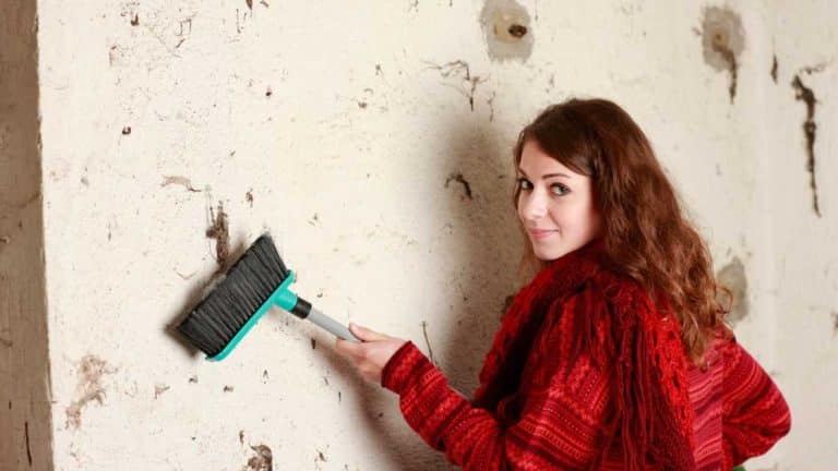 Concrete Clarity: The Ultimate Guide to Clean Walls - House Cleanify