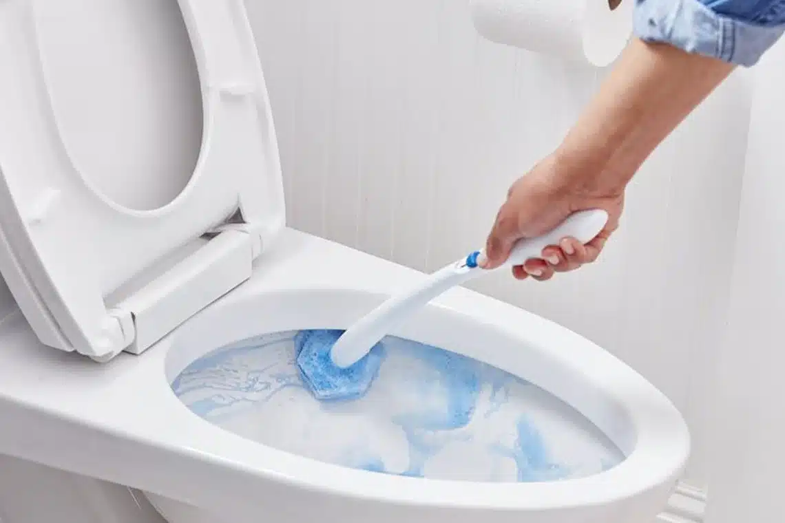 Is It Safe to Use Septic Cleaner in a Regular Toilet? - House Cleanify
